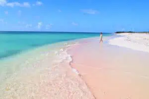 Geschichte und Natur auf Antigua und Barbuda ☀️ 1001Reiseträume